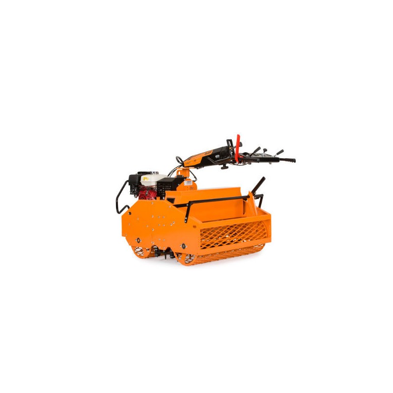 Location engazonneuse Eliet chez PROLOC - Parfait pour votre pelouse